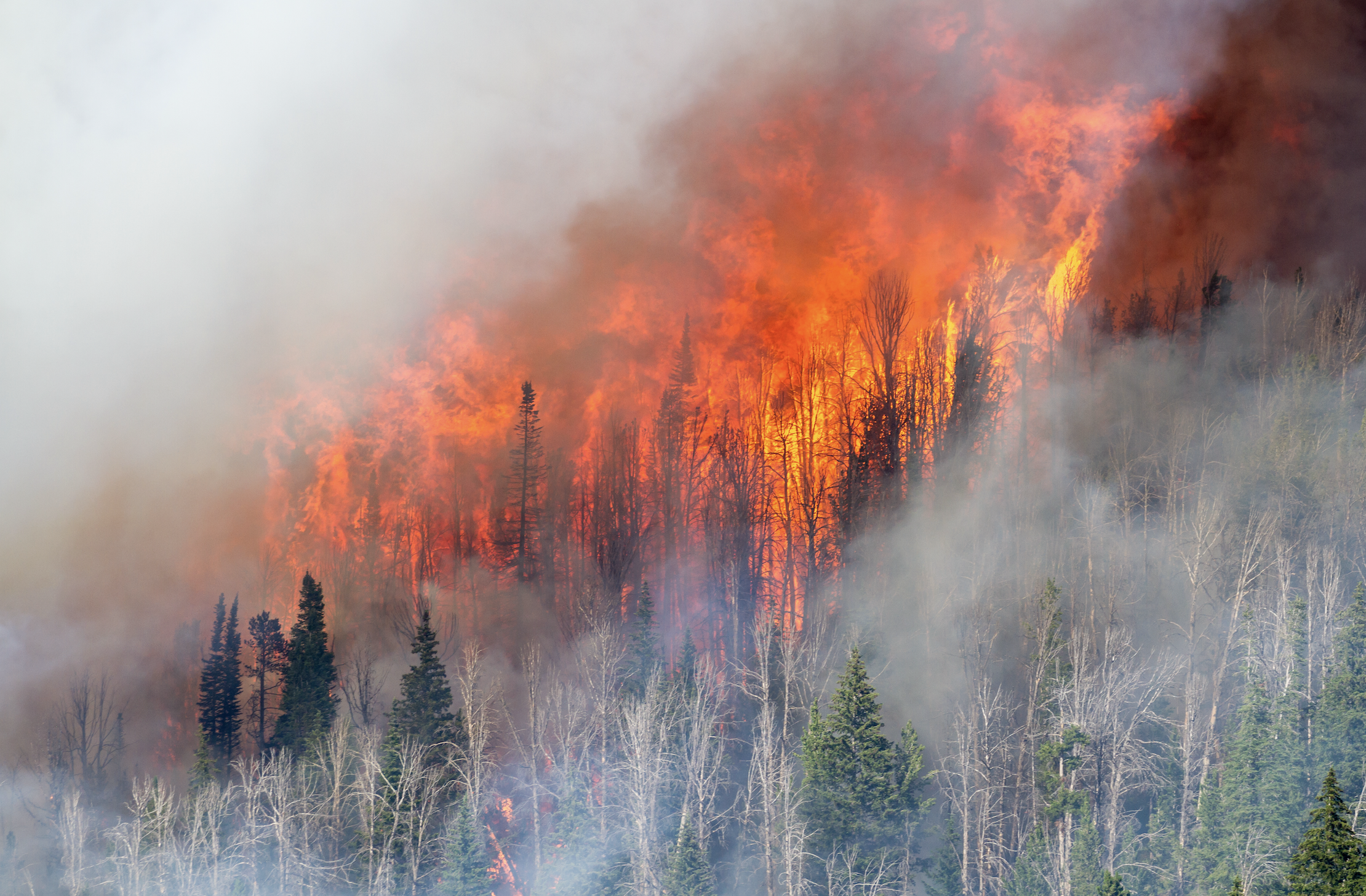 Large Airtankers Mobilized from Colorado Springs Airport to Combat ...